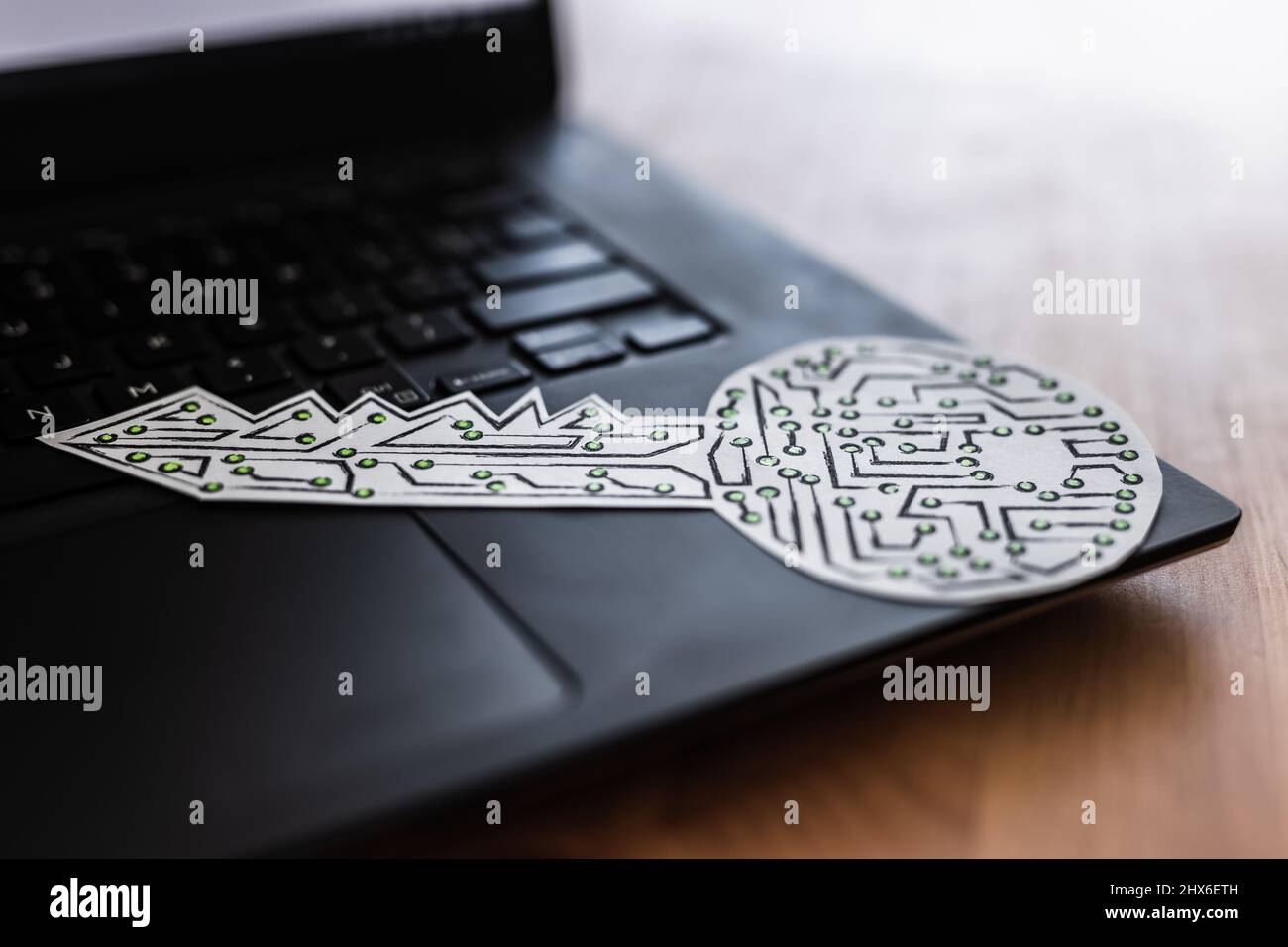 Icône de clé de chiffrement composée de circuits et de voyants lumineux ...