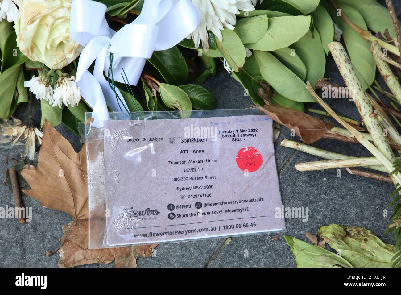 Bijoy paul Banque de photographies et d’images à haute résolution - Alamy