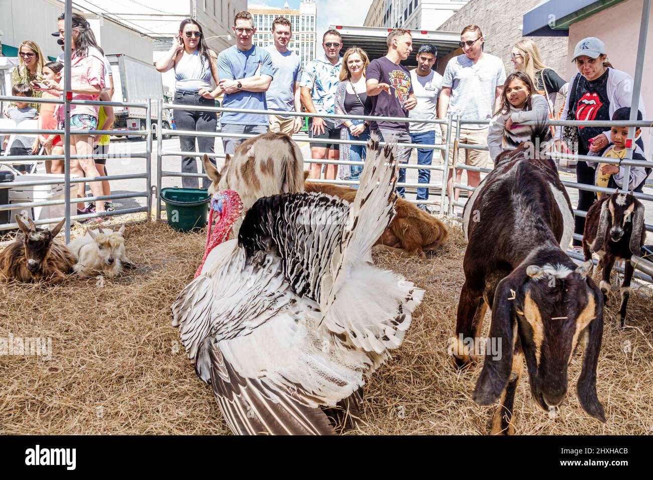 Carnaval de miami sur le mile carnaval annuel du festival de rue ...