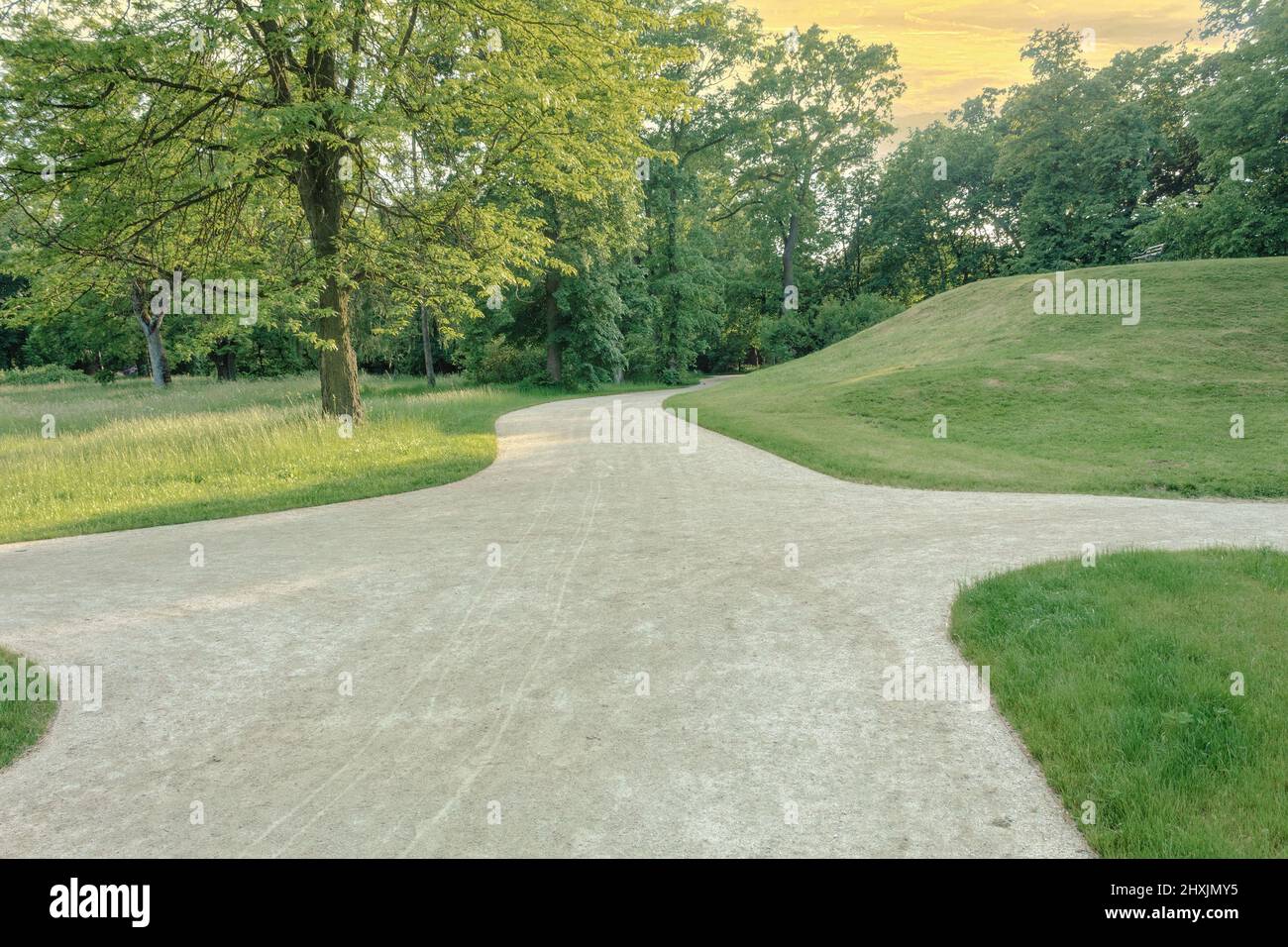Magnifique et beau chemin dans le parc de la ville, paysage. Allée et ...