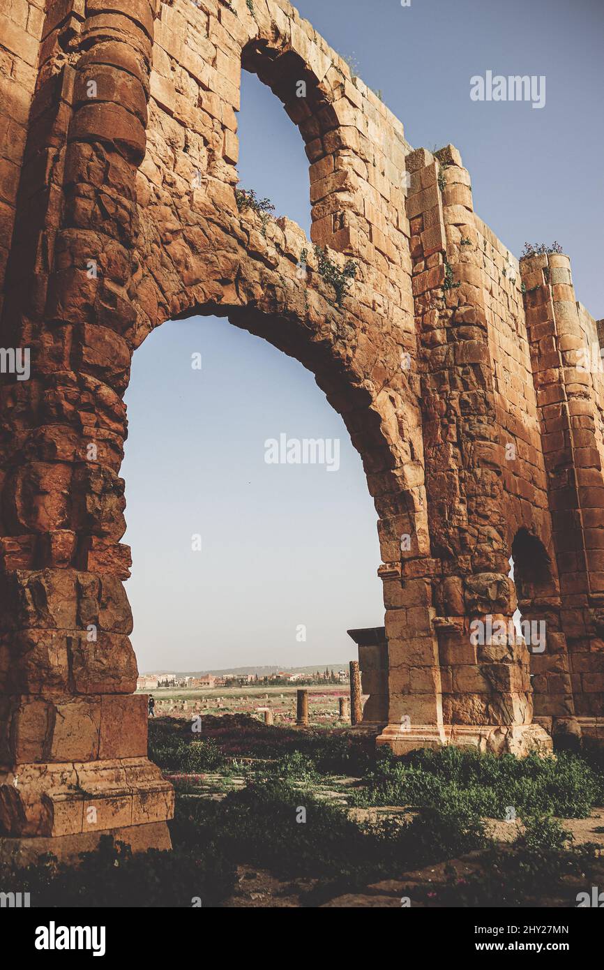 Timgad museum Banque de photographies et d’images à haute résolution ...