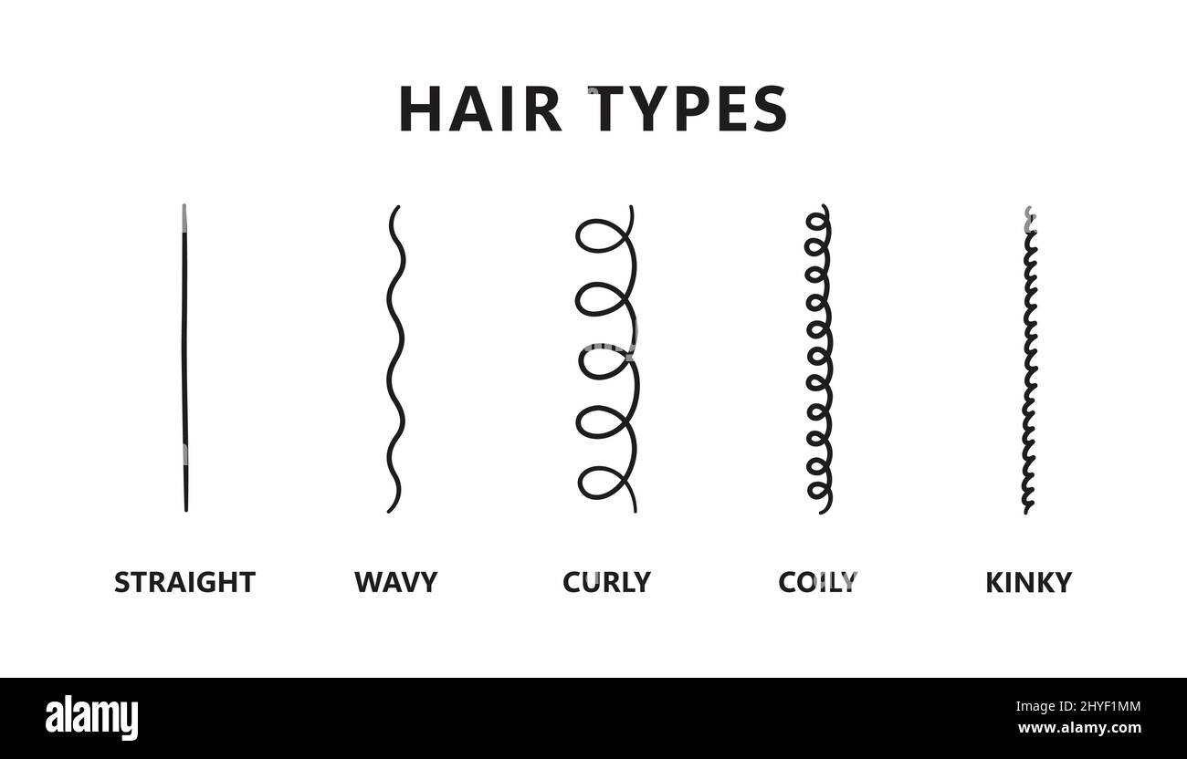 Classification des types de cheveux - droits, ondulés, bouclés, grossis ...