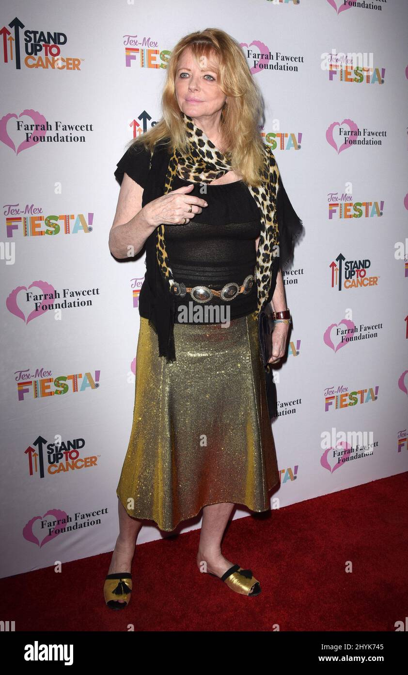 Cheryl Tiegs à la fête Tex-Mex de la Fondation Farrah Fawcett qui s'est ...