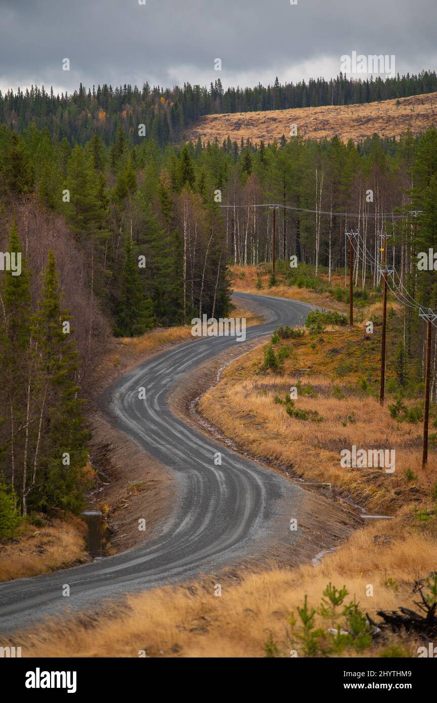 Plan vertical d'une route sinueuse traversant une forêt Photo Stock - Alamy