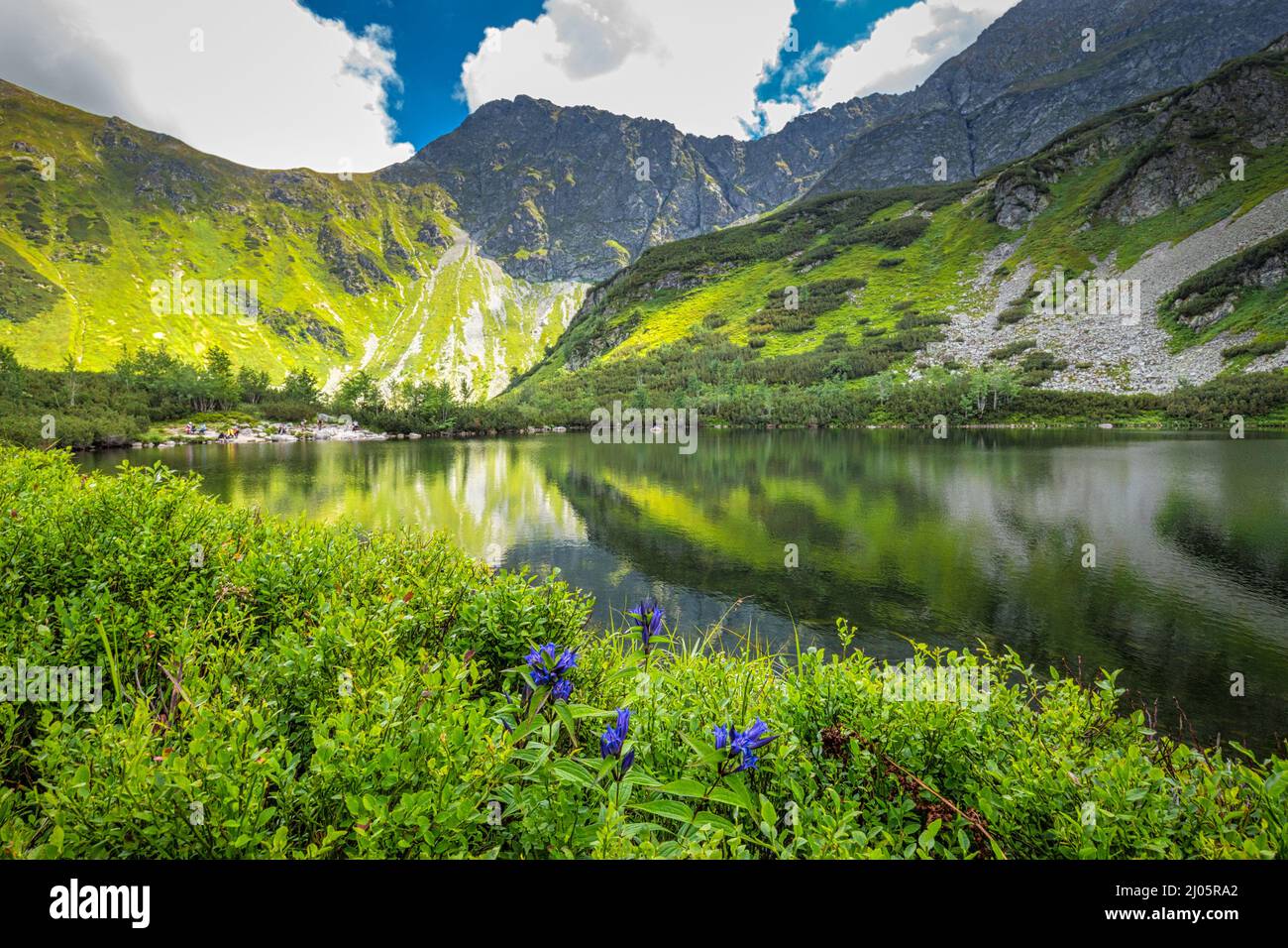 Lac de montagne avec fleurs en premier plan dans la région de Rohace du ...
