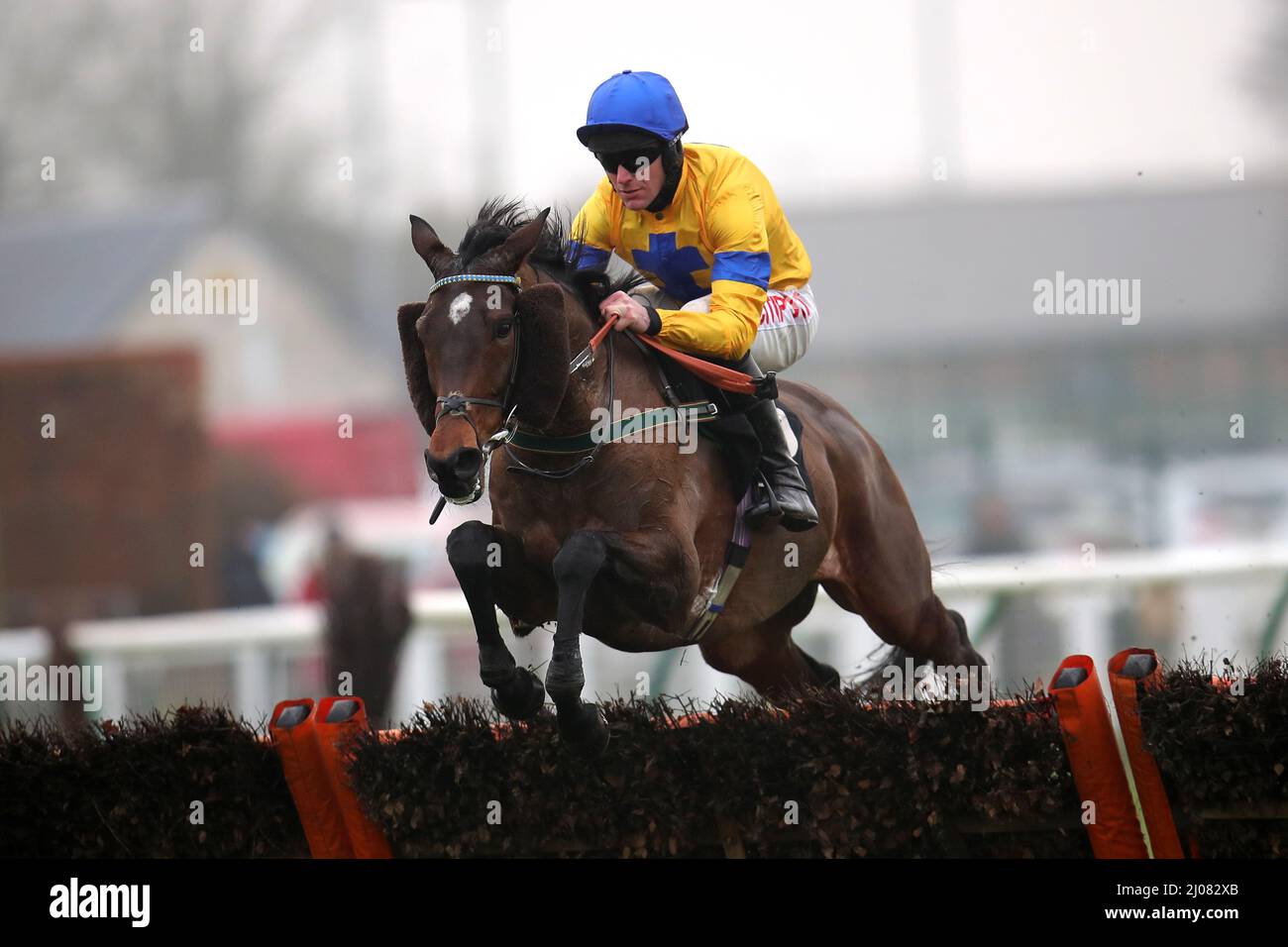 Photo du dossier datée du 15-01-2022 de Stag Horn, avec qui Archie ...
