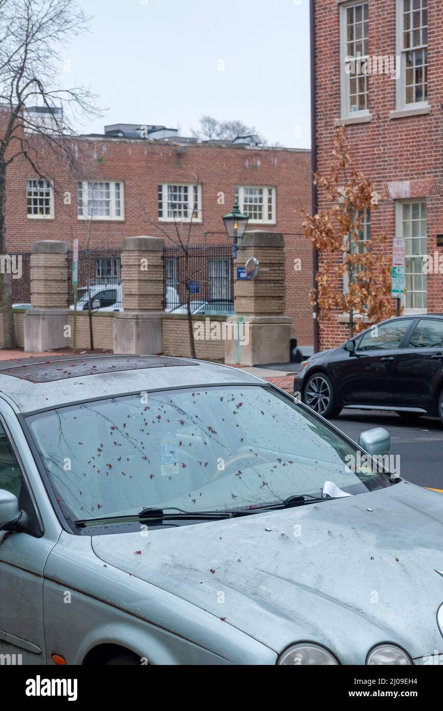 Ticket de parking sur voiture Banque de photographies et d’images à ...