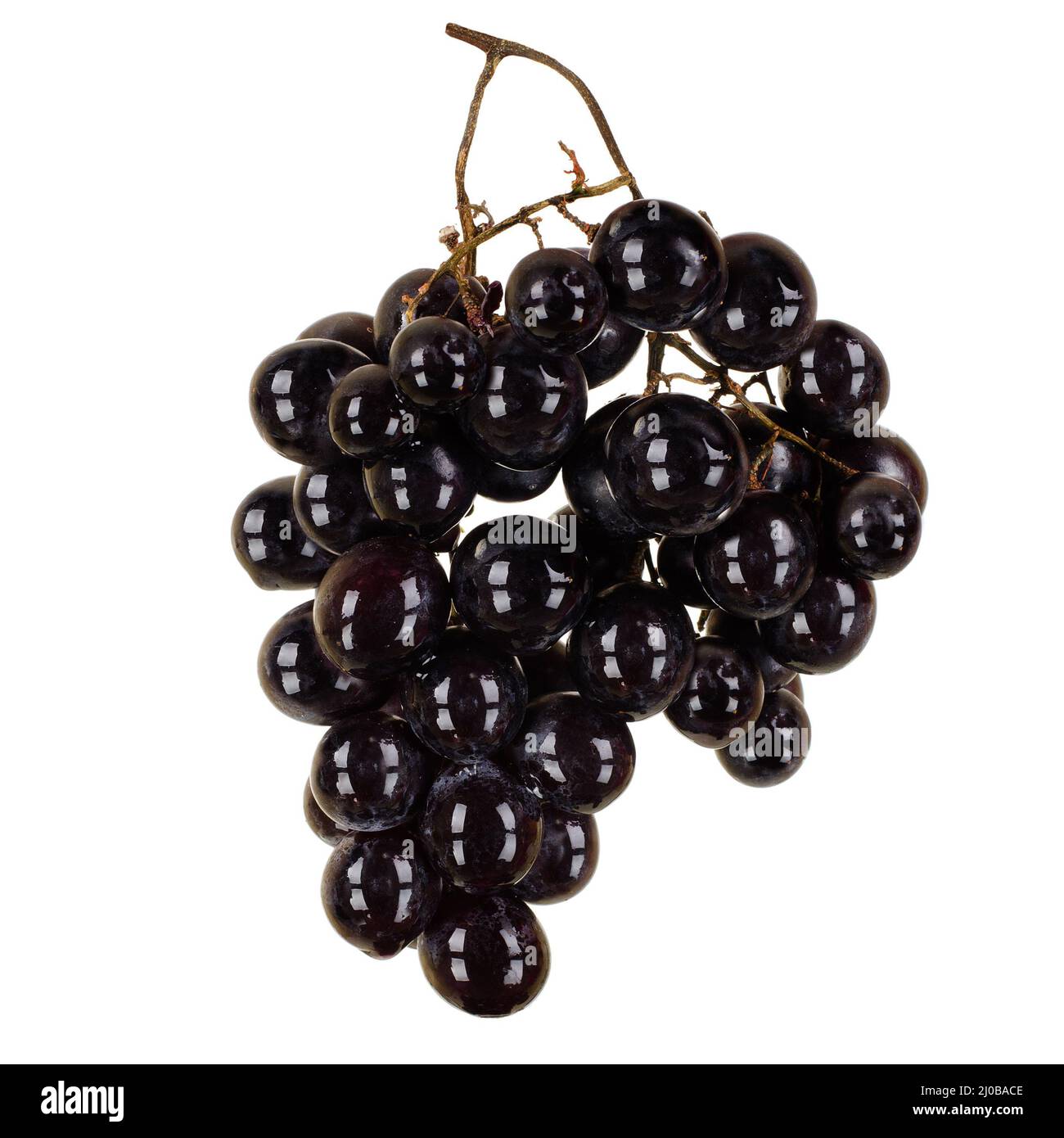 Black raisins Banque de photographies et d’images à haute résolution ...
