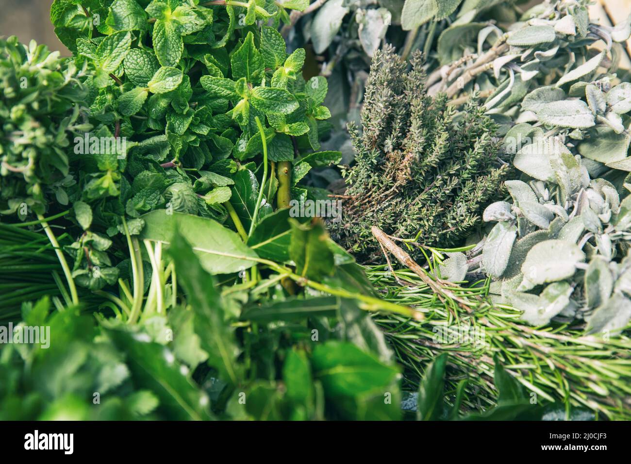 Herbes italiennes Banque de photographies et d’images à haute ...