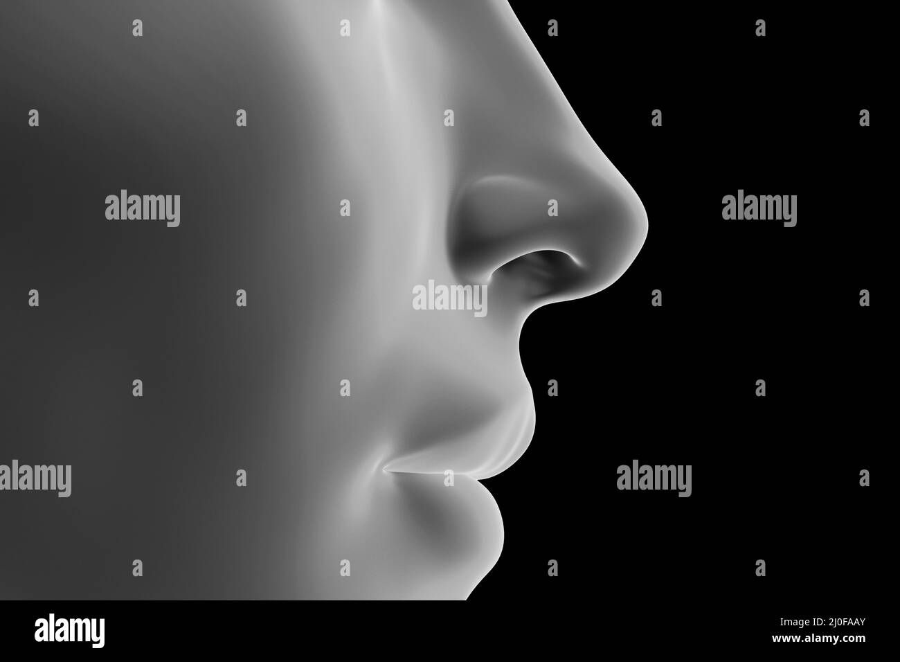 Anatomie du nez Banque d'images noir et blanc - Alamy