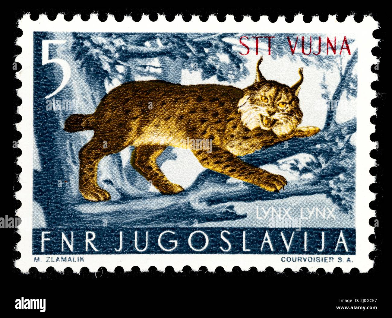 Timbre-poste commémoratif avec l'illustration d'un lynx - Lynx Lynx ...