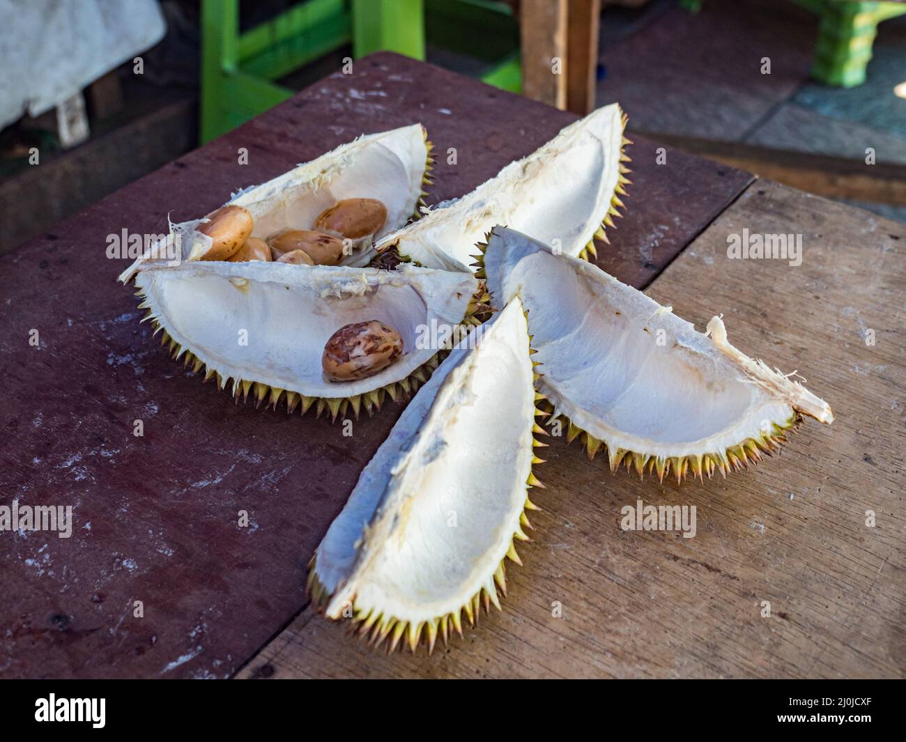 Arbre durian avec des fruits Banque de photographies et d’images à ...