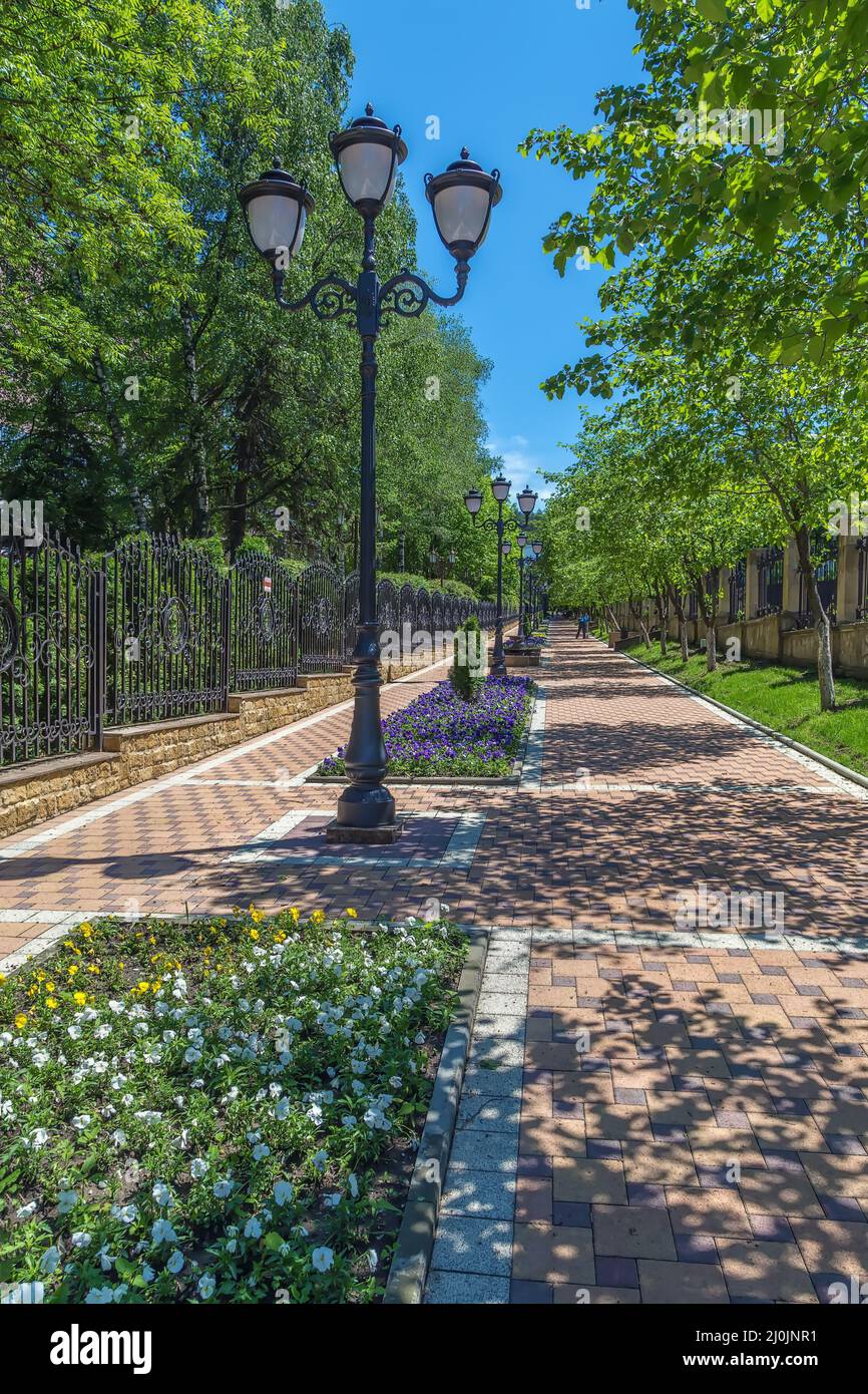 Flower alley Banque de photographies et d’images à haute résolution - Alamy