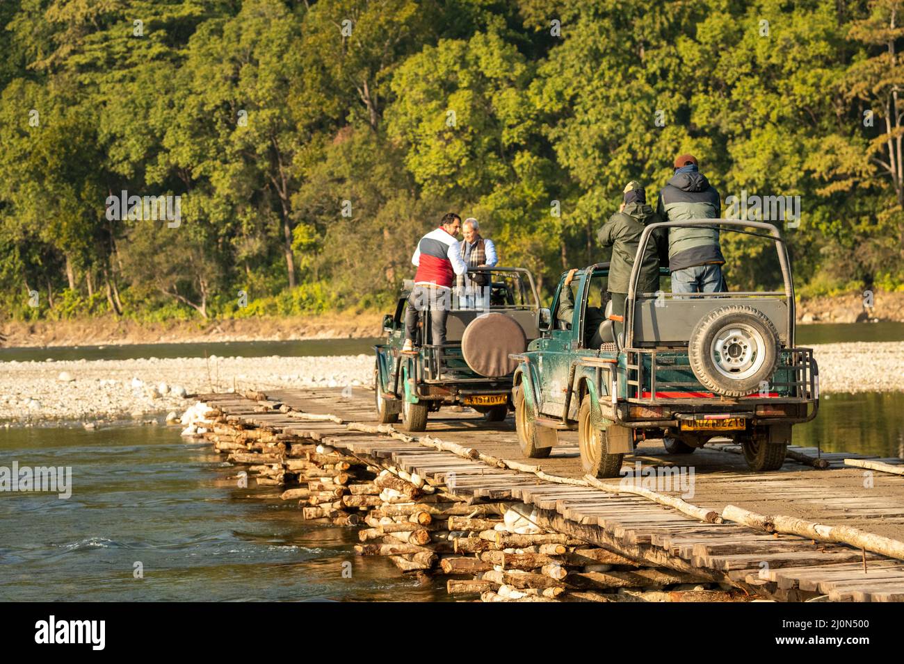 Parc national Jim corbett, Ramnagar, Uttarakhand, Inde - 9 février 2022 ...