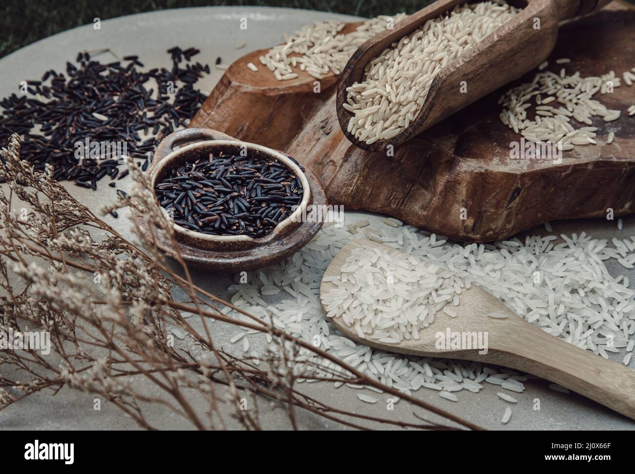 Différents types de riz : riz brun, riz au jasmin, mûre et fleurs ...