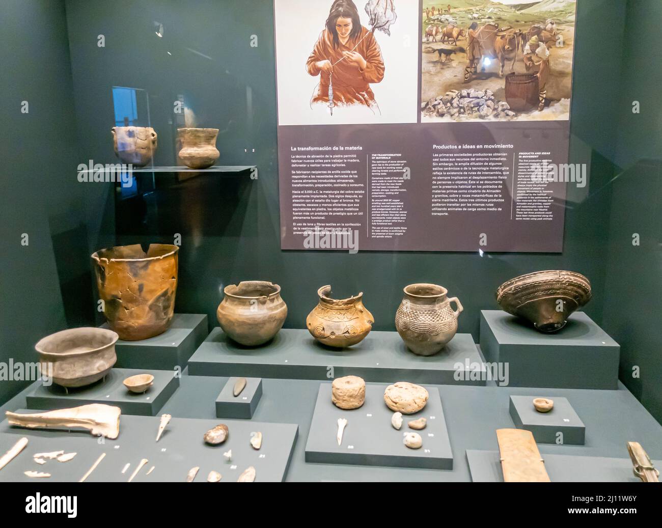 Afficher exponat exponat Banque de photographies et d’images à haute ...