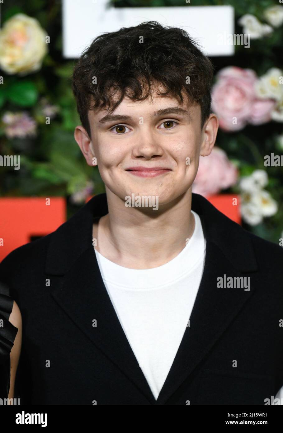 Will tilston Banque de photographies et d’images à haute résolution - Alamy