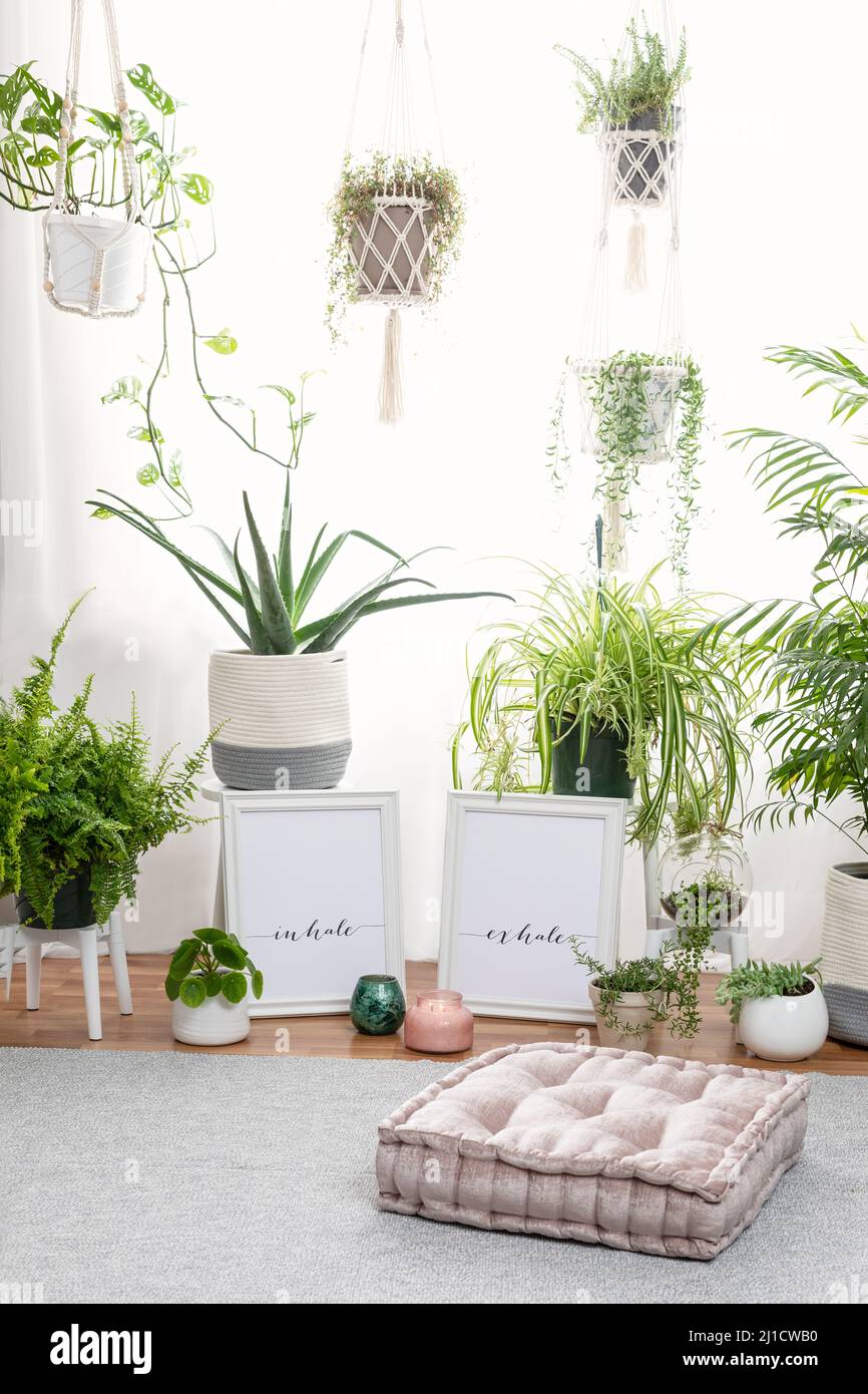 Inspirer expirer Banque de photographies et d’images à haute résolution ...