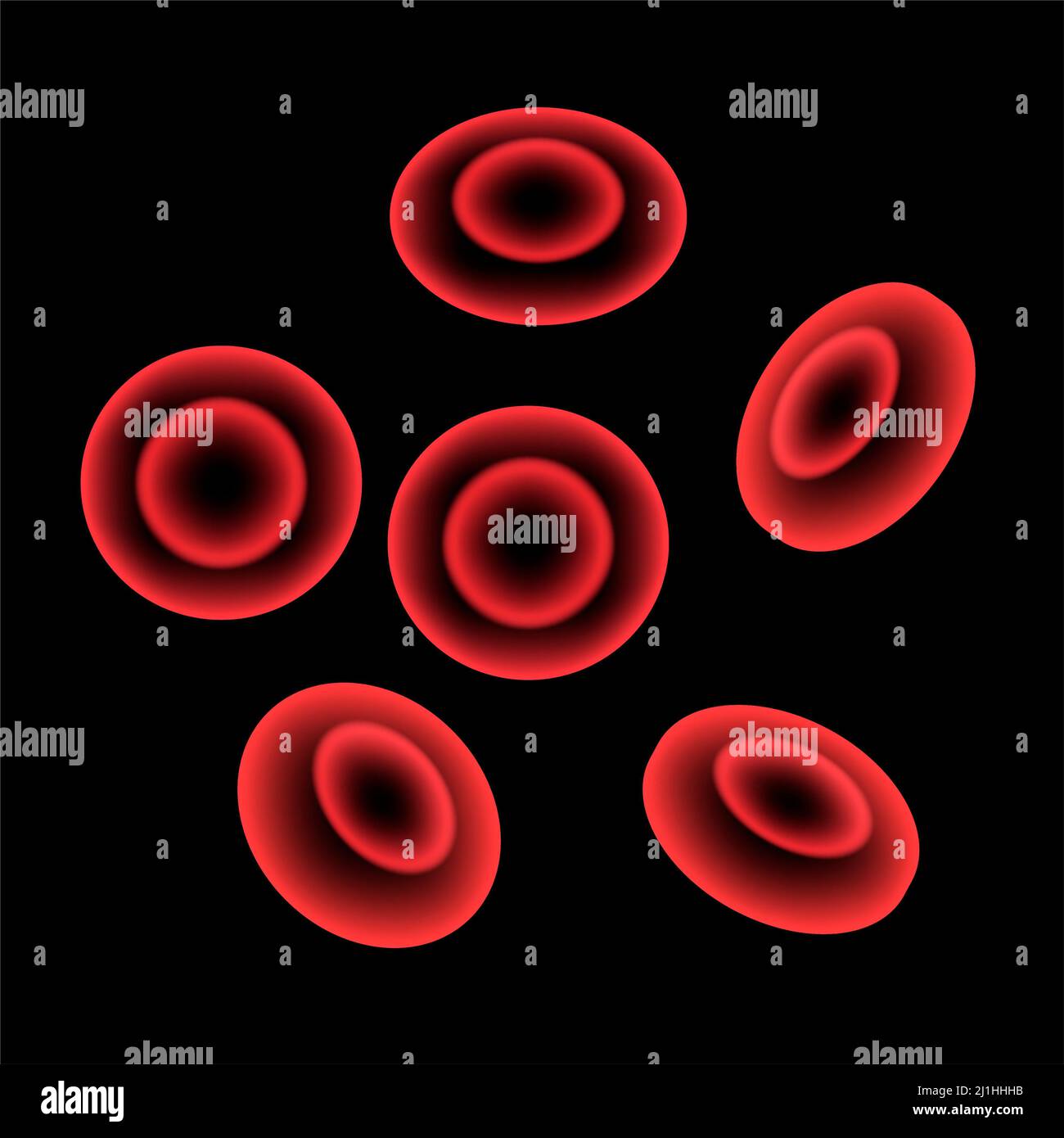 Blood vessel diagram Banque de photographies et d’images à haute ...