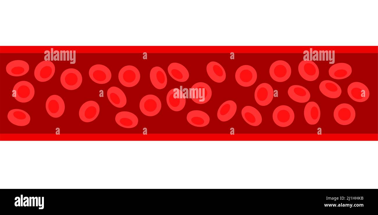 Composition du sang hématocrite Banque de photographies et d’images à ...