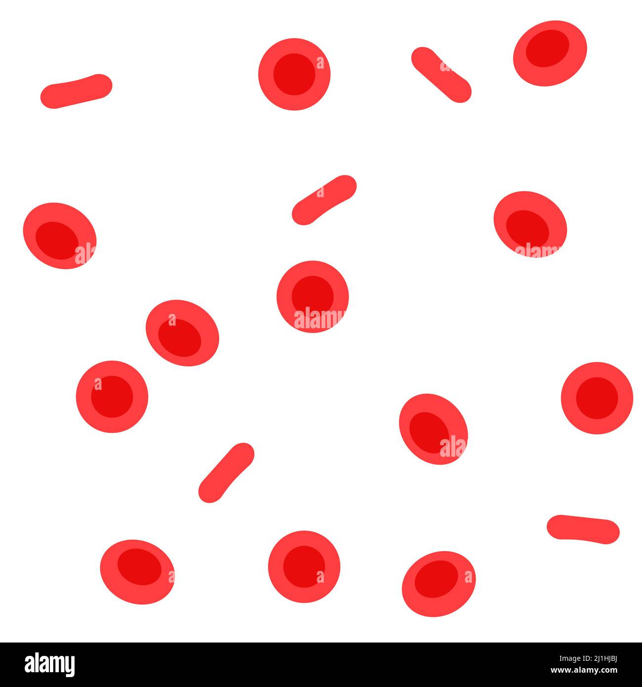 Schéma composition du sang Banque d'images détourées - Alamy