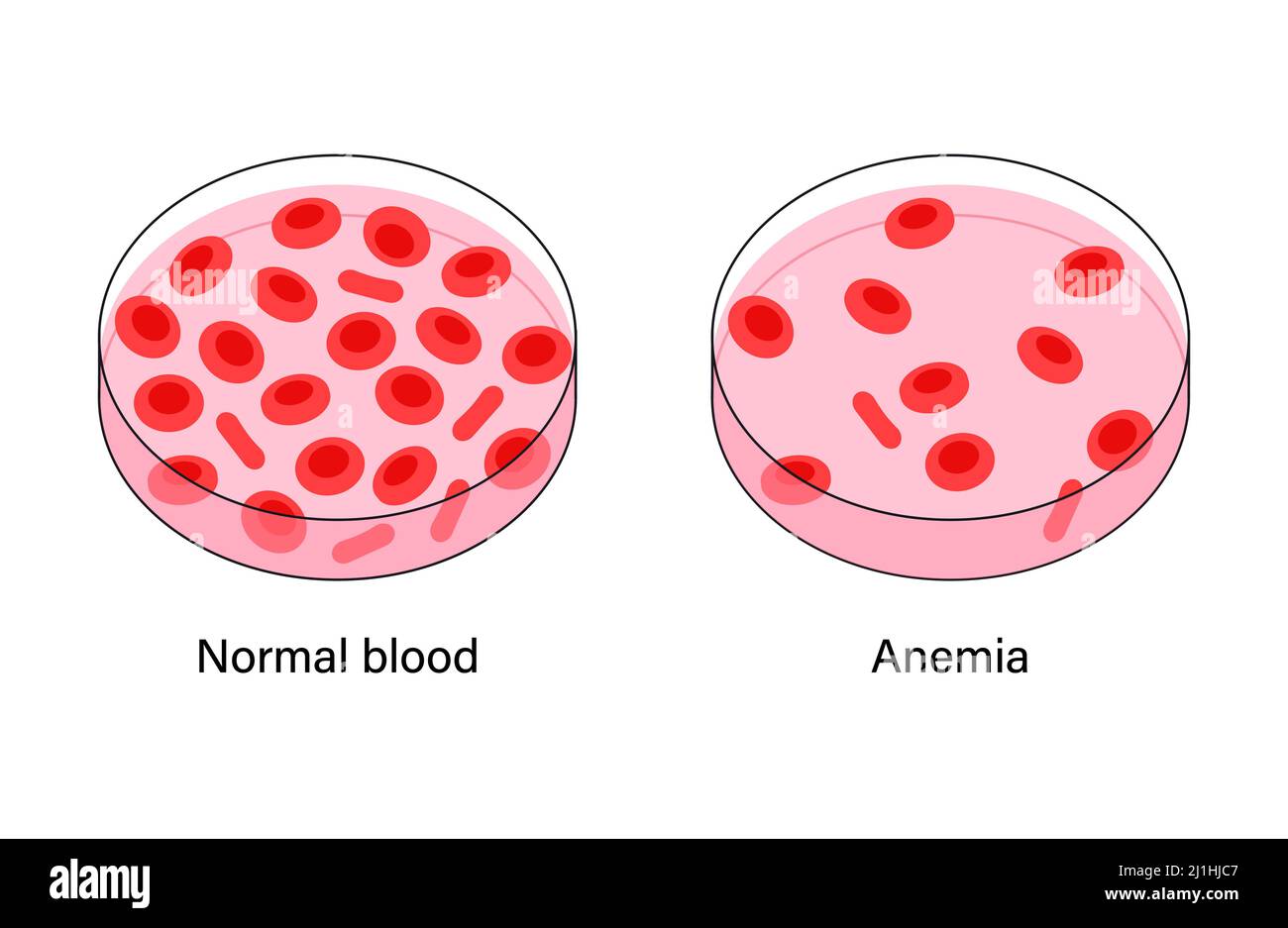 Schéma composition du sang Banque d'images détourées - Alamy
