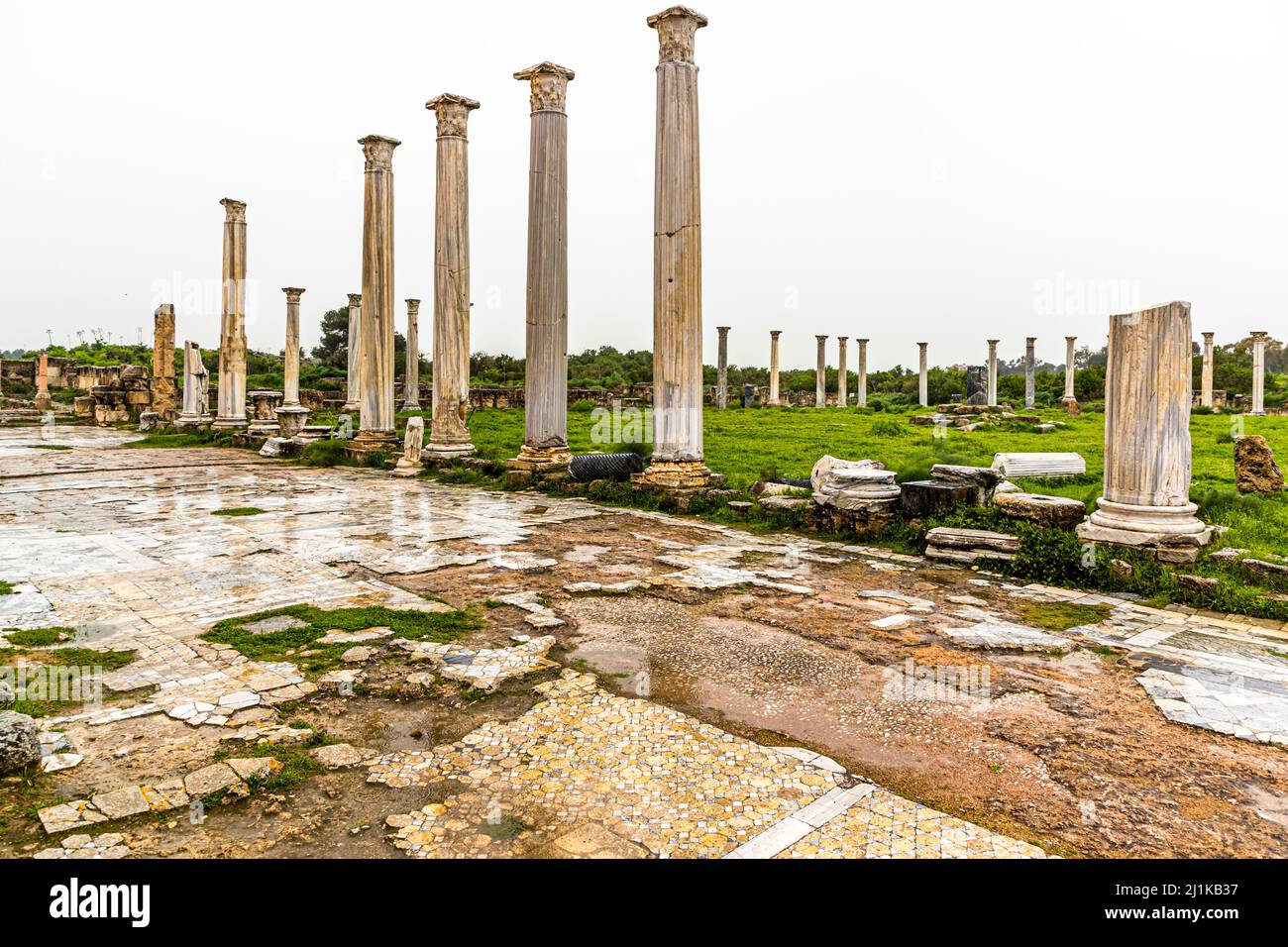Salamine anciennes ruines romaines du nord de chypre Banque de ...