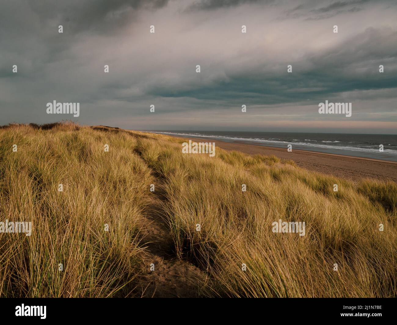 Chemin sur les dunes de sable Banque de photographies et d’images à ...