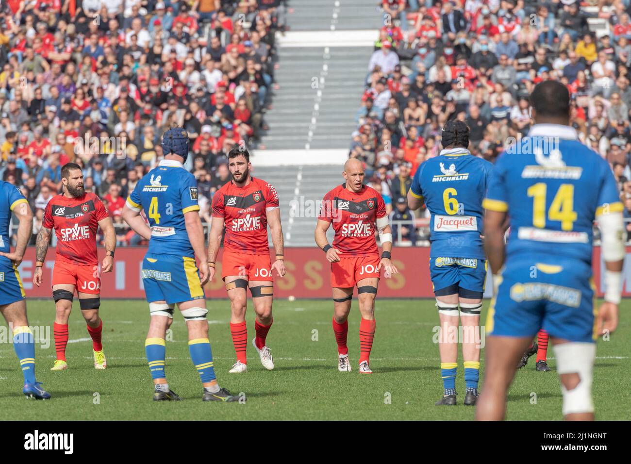 Stade mayol Banque de photographies et d’images à haute résolution - Alamy