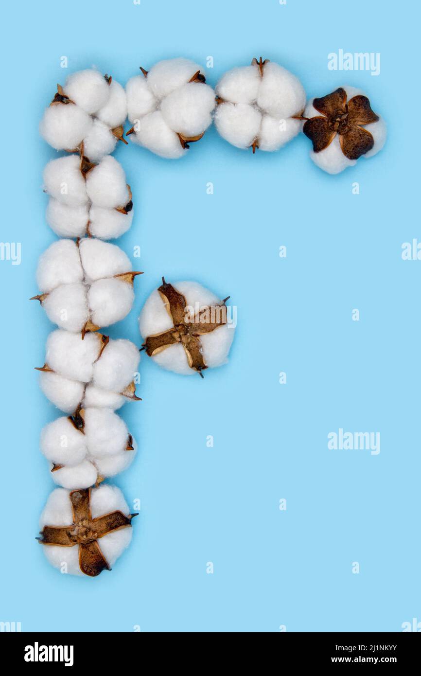 Lettre f majuscule scripte Banque de photographies et d’images à haute ...