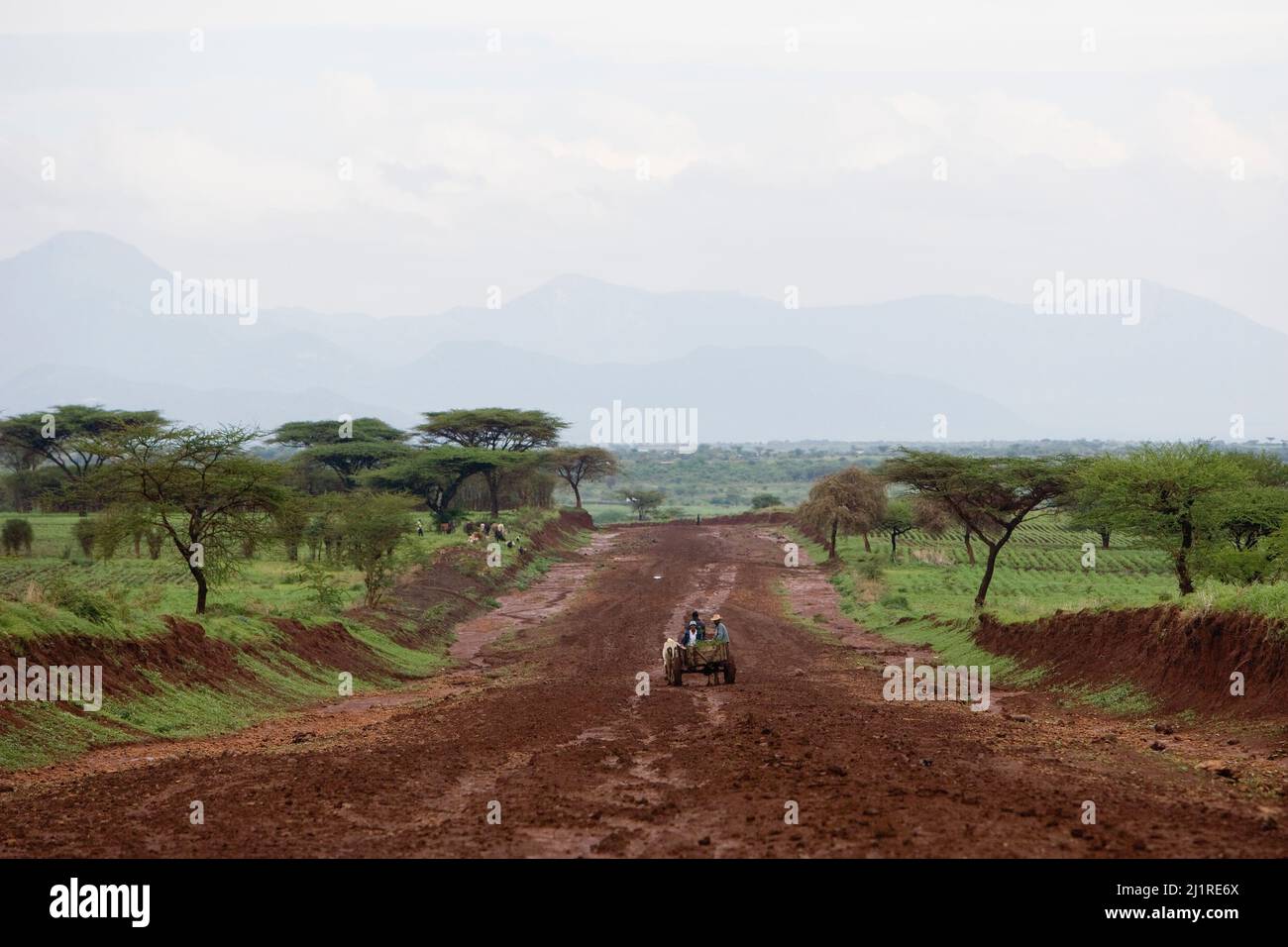 Devenir infranchissable Banque de photographies et d’images à haute ...