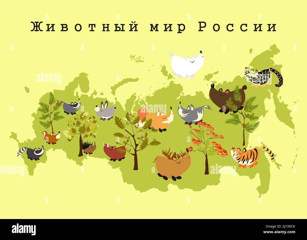 Faune de Russie. Carte des animaux de Russie. Affiche éducative pour ...