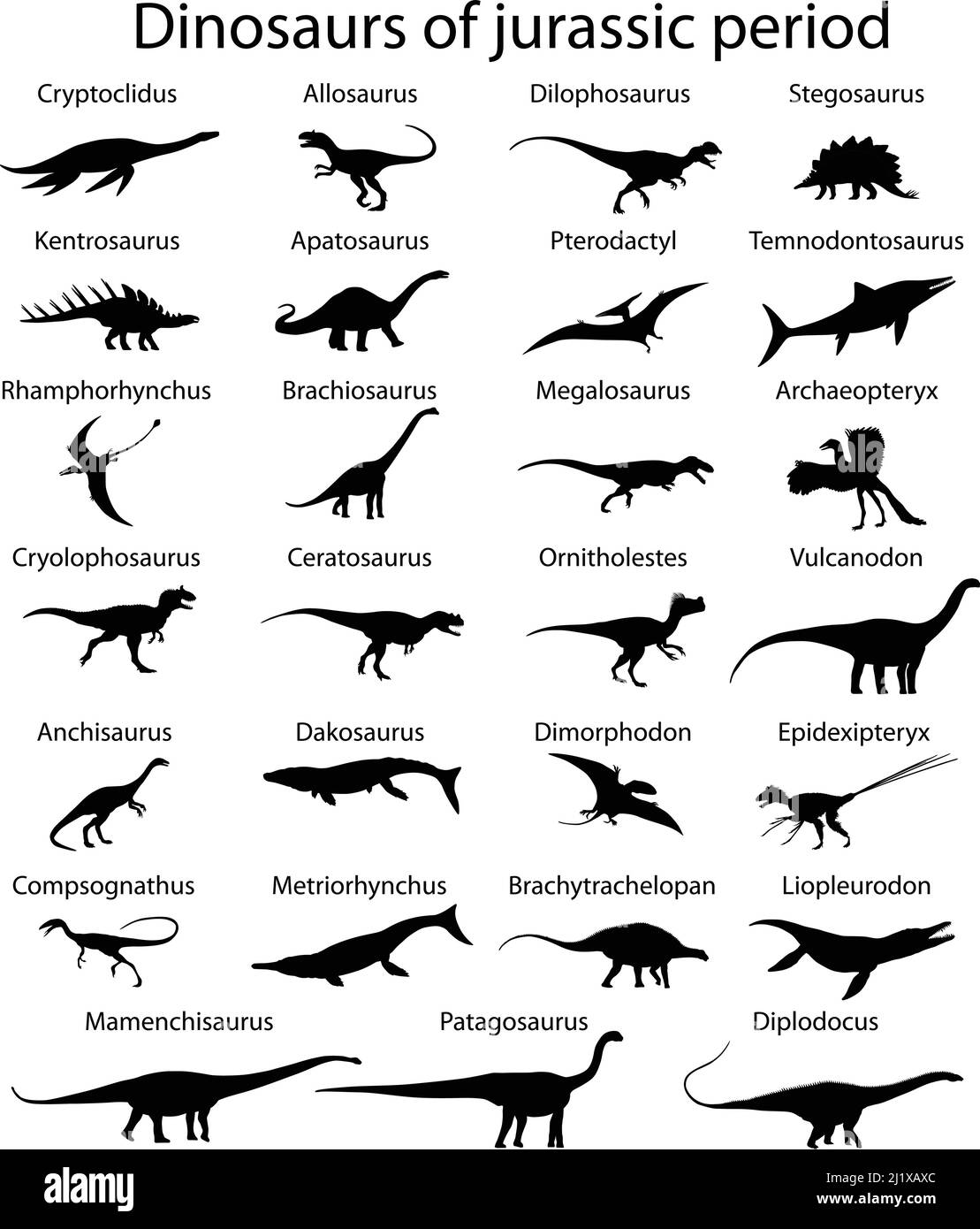 Silhouettes de dinosaures de la période jurassique de l'ère mésozoïque ...