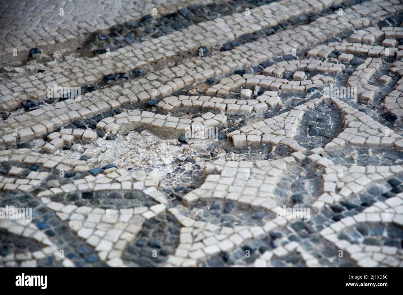 Sol en mosaïque restauré, lors de l'ouverture aux touristes de la 'Casa ...