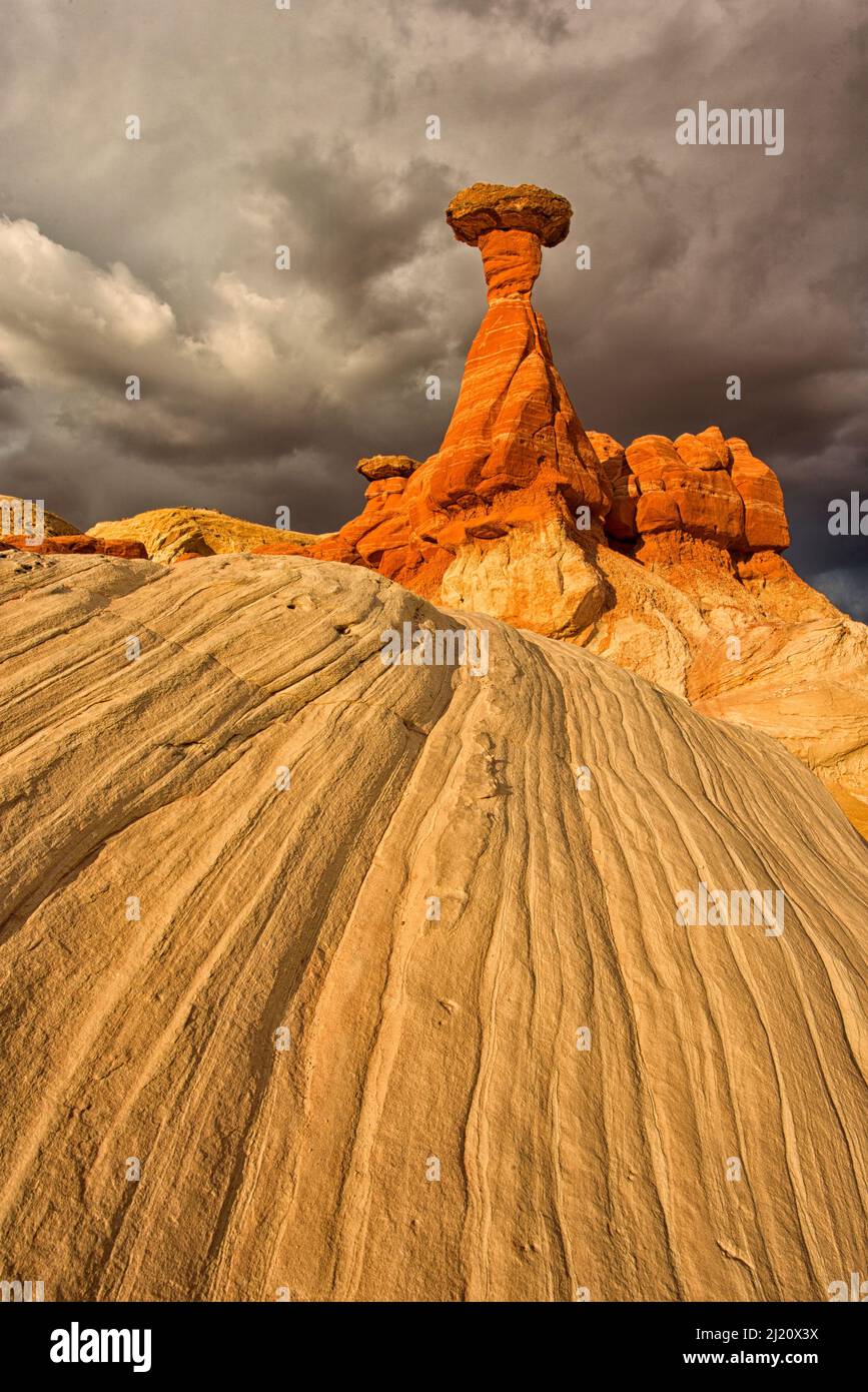 Vermillion cliffs national monument Banque de photographies et d’images ...