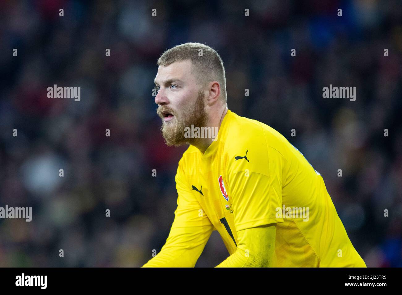 Jindrich stanek Banque de photographies et d’images à haute résolution ...