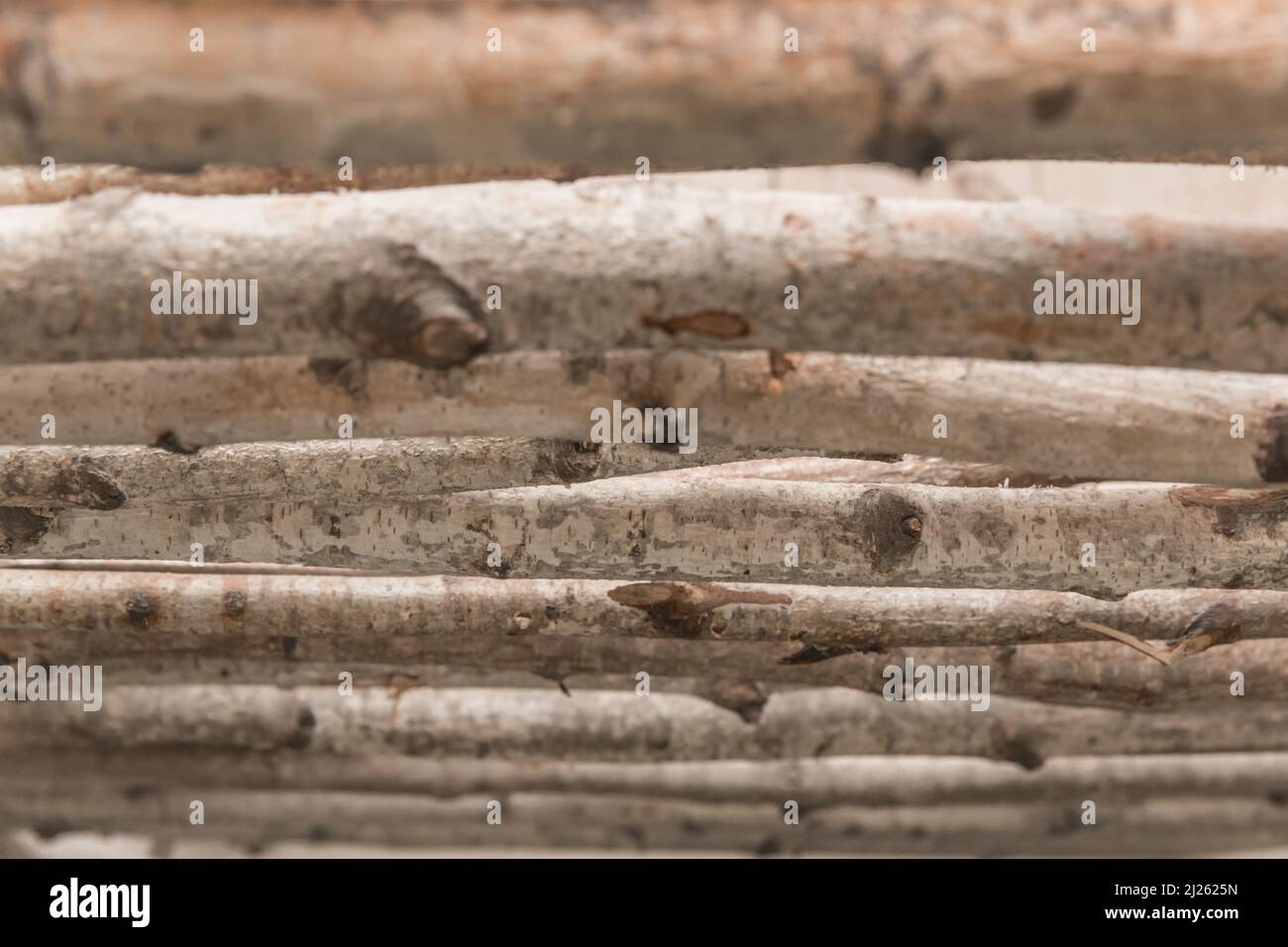 Tige en osier Banque de photographies et d’images à haute résolution ...