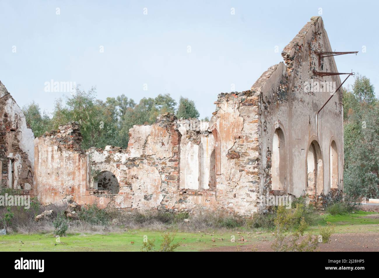 Corte do pinto Banque de photographies et d’images à haute résolution ...