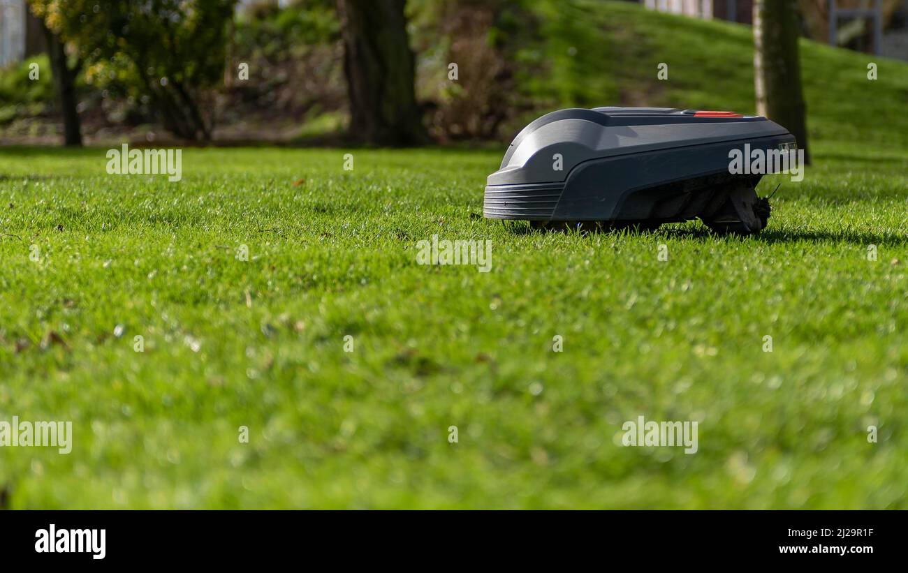 Robot de tonte Banque de photographies et d’images à haute résolution ...