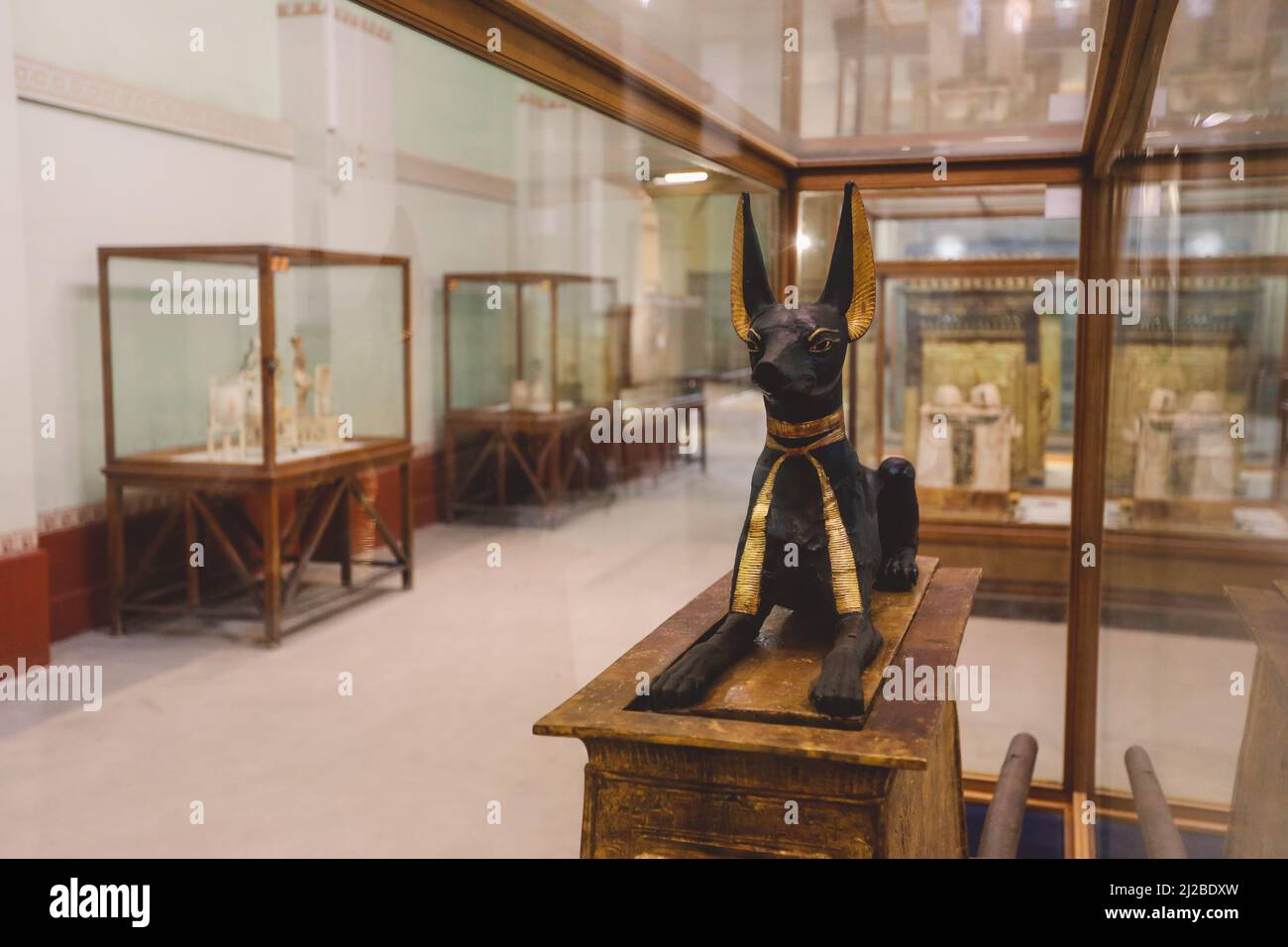 Statue noire et dorée de l'ancien Dieu égyptien de la mort Anubis au ...