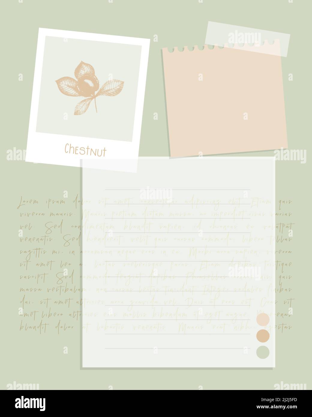 Rappel vierge collage vintage avec châtaignier et texte pour les notes ...