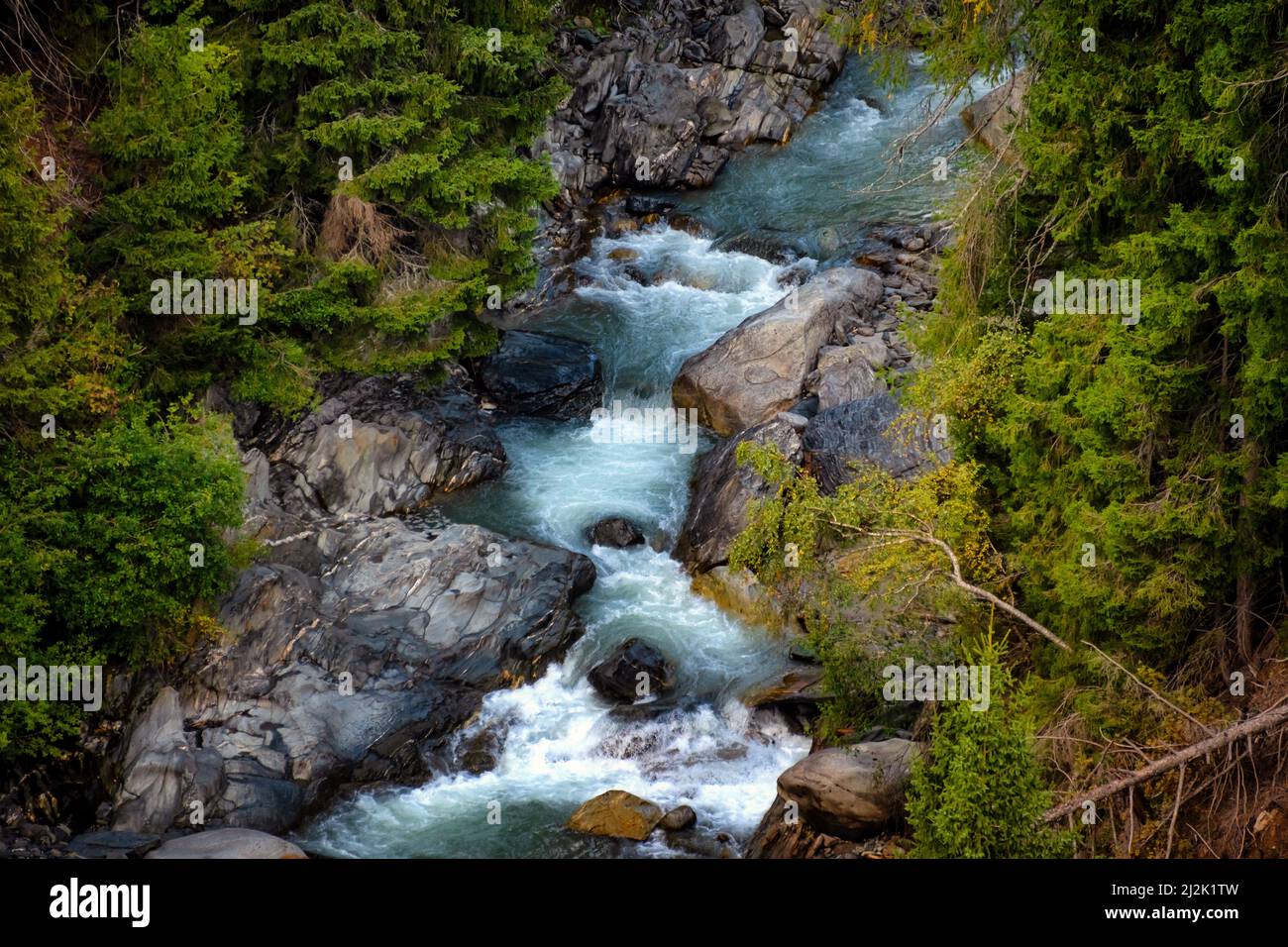 Rivière qui traverse la forêt Banque de photographies et d’images à ...