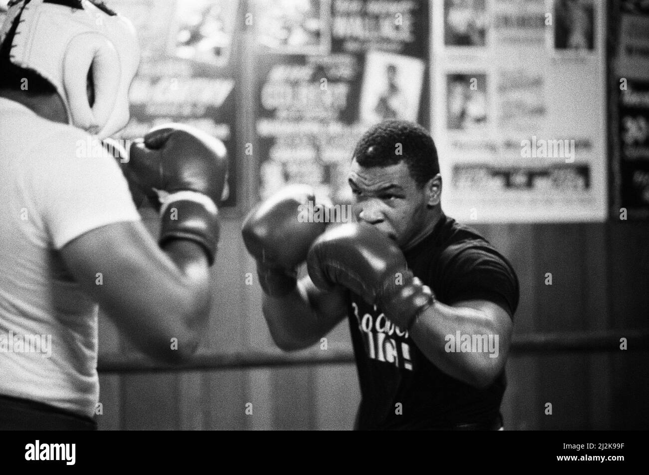 Mike Tyson à Londres pour voir Frank Bruno contre James 'Quick' Tillis ...