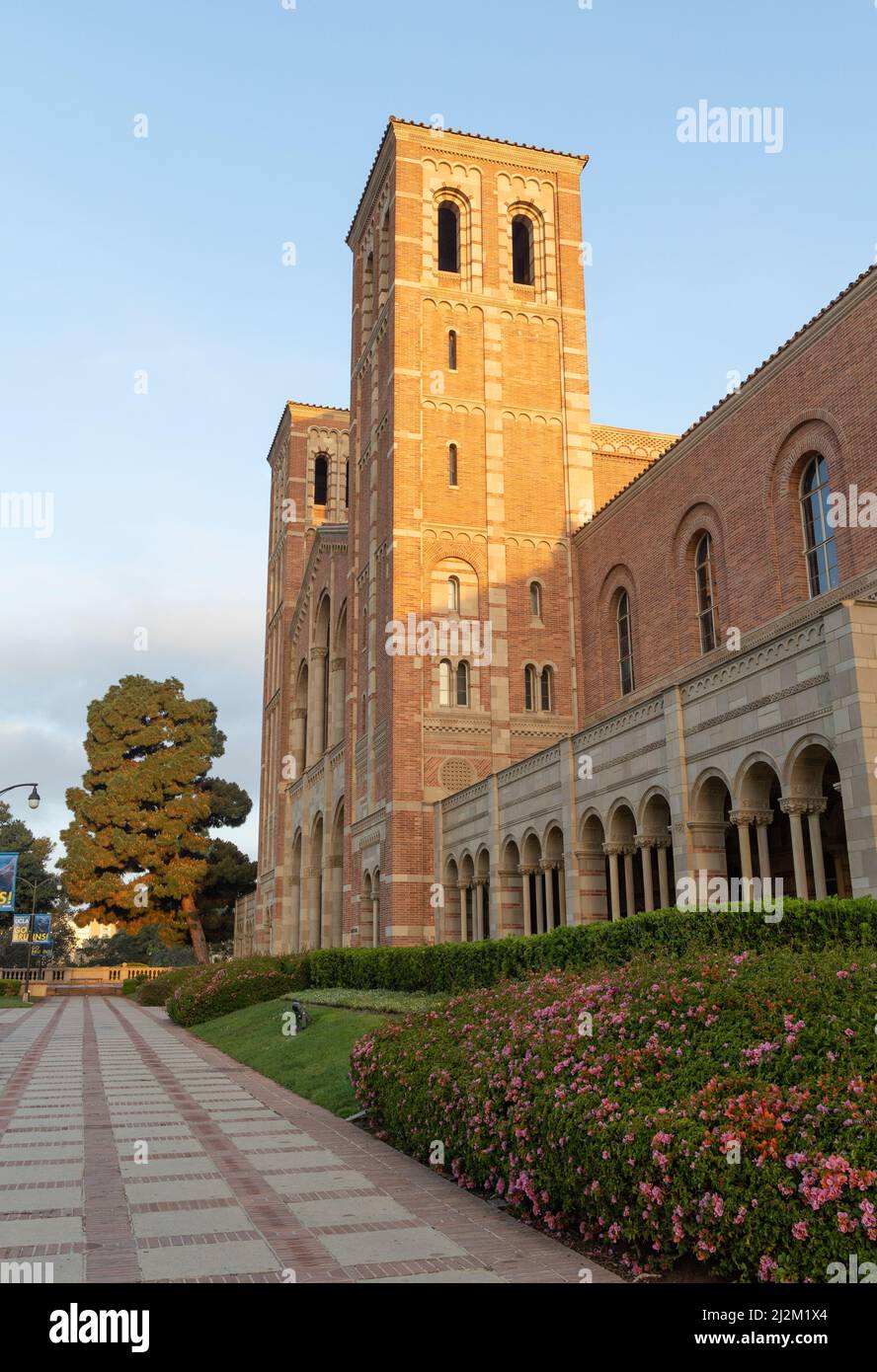 Royce hall on ucla campus Banque de photographies et d’images à haute ...