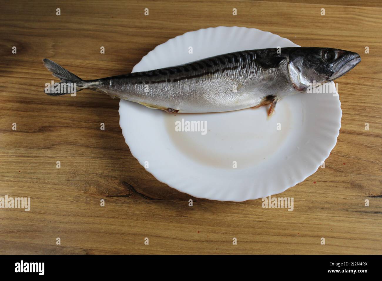 Poisson merlan bleu Banque de photographies et d’images à haute ...