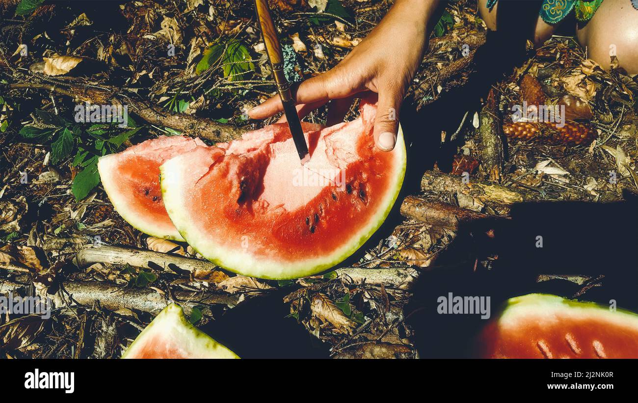 énorme melon Banque de photographies et d’images à haute résolution - Alamy