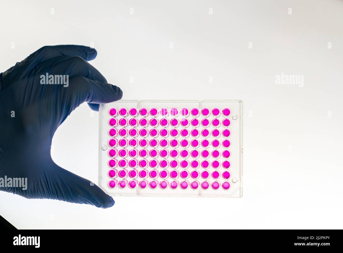 Une microplaque, une plaque de microtitration ou une plaque de micro ...