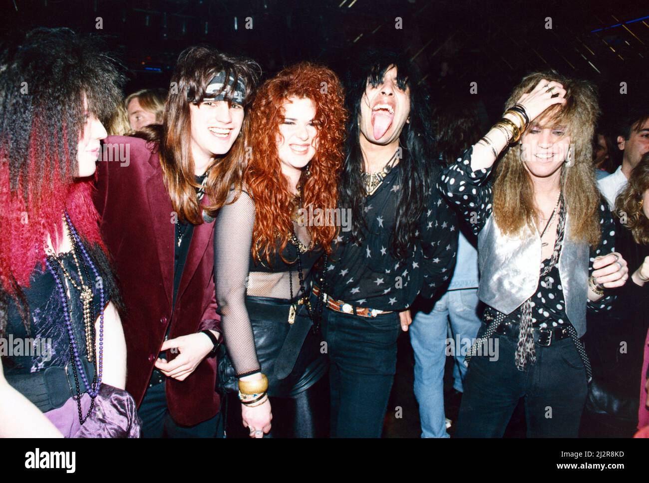 Cathouse Banque de photographies et d’images à haute résolution - Alamy