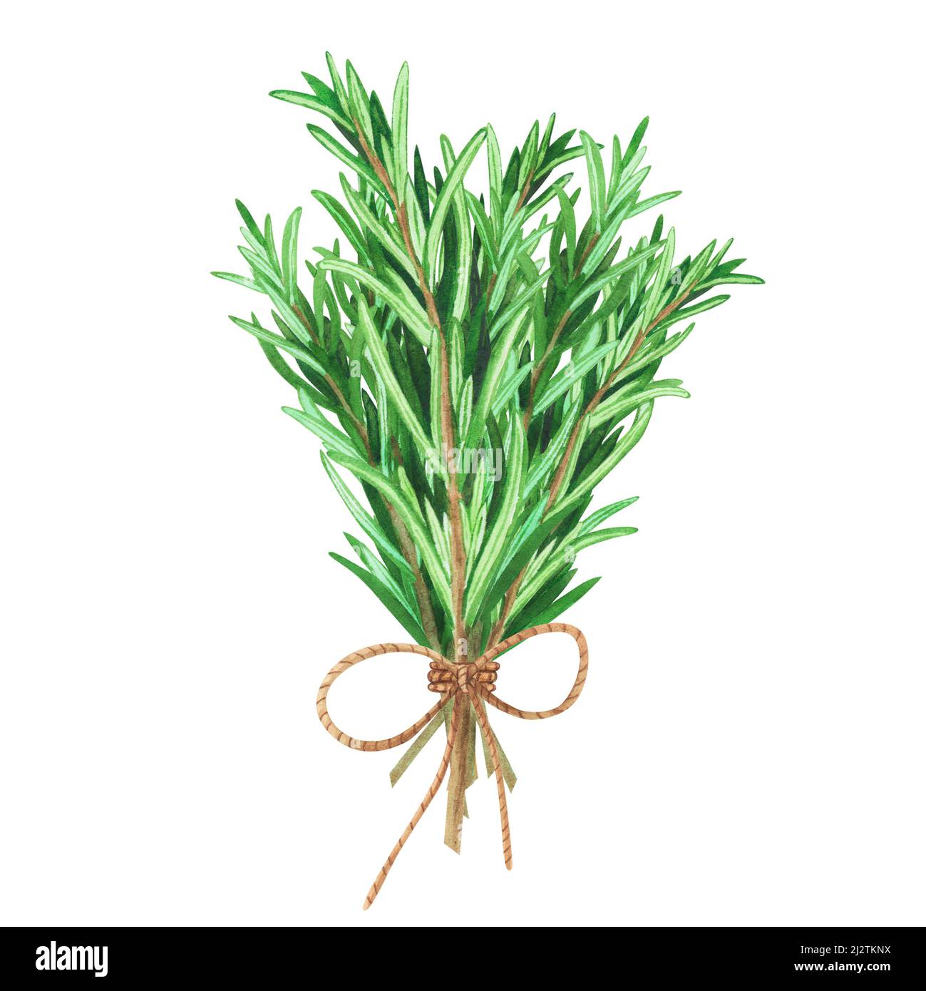 Eco food menu background watercolor Banque de photographies et d’images ...