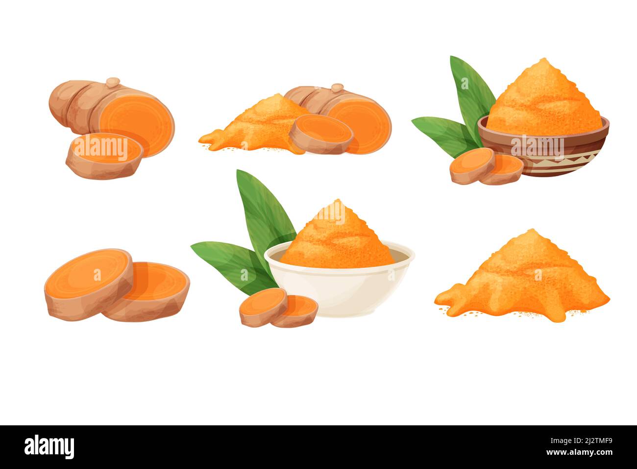 Feuille de curcuma longa Banque d'images vectorielles - Alamy